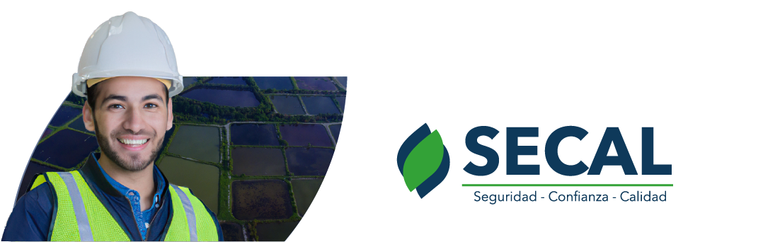 SECAL S.A. – SECAL S.A somos una empresa consultora dedicada a la ...